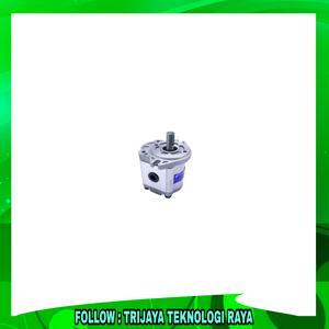 Jual Hydraulic gear oil pump CBW-F310-ALP CBW-F314-ALP - Jakarta Pusat ...