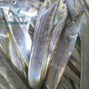 Jual Ikan Layur Segar 1kg - Jakarta Utara - Fatimah Azahra Seafood ...