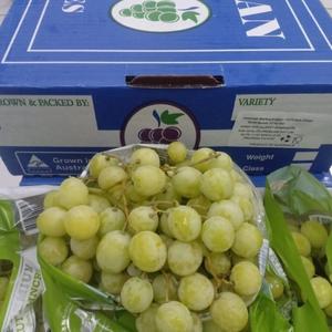 Jual Anggur Autum Crips hijau Australia Isi 10 pack berat 10 kg / box ...