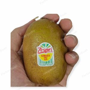 Jual Kiwi Golden Italy Zespri Jumbo 500 gram - Jakarta Barat - Jakarta ...
