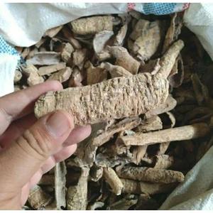 Jual kulit kayu pule kering 250 g / kulit kayu pulai / kulit kayu lame ...