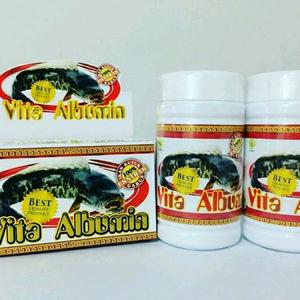 Jual VITA ALBUMIN VITAALBUMIN Ekstrak Ikan Gabus atau Ikan Kutuk Obat ...