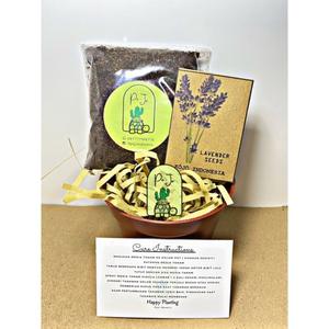 Jual Lavender Grow Kit Medium Paket Siap Tanam Benih Bunga L rippki ...