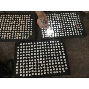 Jual JUAL Telur Walet / Telur Walet Asli / Telur Burung Walet Asli ...