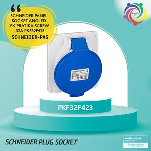 Promo SCHNEIDER PANEL SOCKET ANGLED PK PRATIKA SCREW 32A - Kota Bandung ...