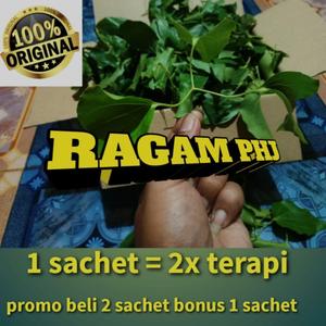 Jual daun bungkus tiga jari utuh bentuk daun ASLI 100 belum diolah ...
