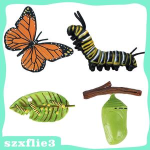 Jual Butterfly Growth Life Cycle Stage Kids Education Toy Teaching ...