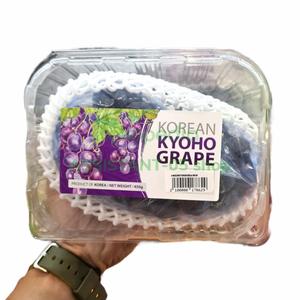Jual anggur kyoho korea original / anggur kyoho grape 450gram - Jakarta ...
