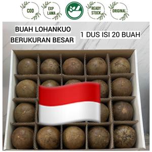 Jual LOHANKOU LO HAN KOU BUAH 1 BUAH ECERAN / Lohan kuo 1 pcs - Kota ...