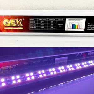 Jual LED AQUARIUM VIEW TANNING ARWANA SAKKAI PRO T8 GEX 4D 1000 16000K 25W - Jakarta Barat ...