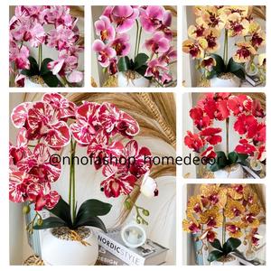 Jual Bunga Anggrek Latek premium tebal Cabang 2 Vas Bola anggrek ...