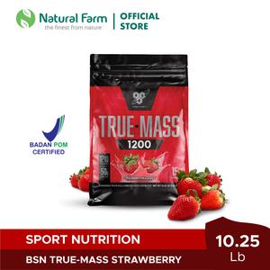 Promo BSN True Mass 1200 Strawberry 10,25 Lb Cicil 0% 3x - Jakarta ...