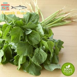 Jual Bayam Per 2 Ikat Sayuran Segar Dan BERGARANSI - Jakarta Utara ...
