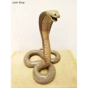 Jual Patung Ular Kobra Statue Snake King Cobra Awetan Antik Vintage ...