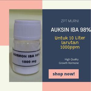 Jual ZPT Auksin IBA Powder 98% murni 1000mg jadi 10 liter larutan ...