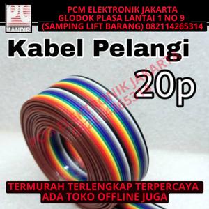 Jual 1m 1meter 1 meter kabel pelangi 20p 20jalur 20pin 20 pin jalur ...