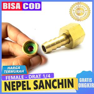Jual Nepel Sanchin - Nepel Female Mur bisa di lepas Ukuran 1/4 ...