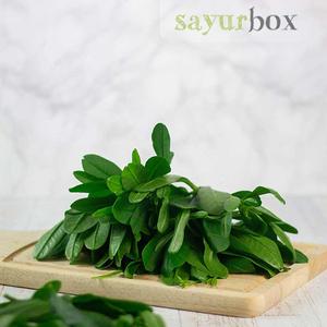 Jual Daun Ginseng Organik 250 gram Sayurbox - Kab. Bogor - Sayurbox ...
