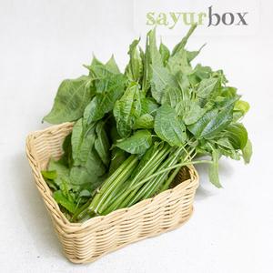 Jual Daun Pohpohan Konvensional 200 gram Sayurbox - Kab. Bogor ...