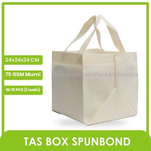 Jual Tas Box 24x24x24 Spunbond Handle - Lusinan - Warna Cream - Jakarta ...