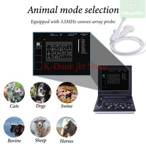 Jual Alat USG Portable Laptop Scanner with 3.5 MHz Micro Convex Probe ...