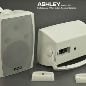 Jual Speaker Pasif 2way Column ASHLEY B85 8inch ORIGINAL HARGA 1SET ...