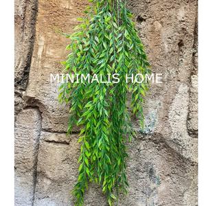 Jual Daun Juntai Pakis Yugali Bambu Putih Salju Snowy Rambat Plastik ...