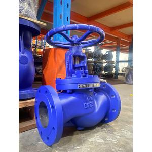 Jual Globe Valve Cast Iron PN16 Steam VTV - Size 6 Inch - Kota Medan ...