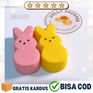Jual [READY STOCK] Biscuit Bunny Squishy Kelinci Mini Warna Pink ...