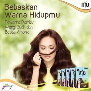 Jual BAGUS NYU HAIR COLOR | Semir Rambut Bleaching Sachet Box Henna ...
