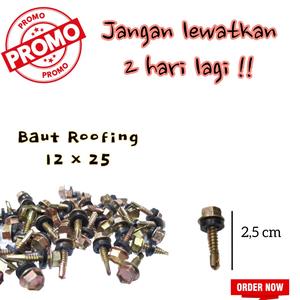 Jual Baut Plafon Skrup Sekrup Baja Ringan Roofing 12x25 12 x 25 2,5cm ...