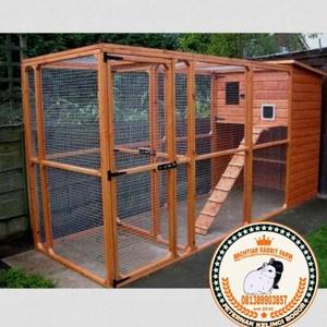 Jual Kandang Kayu Aviary Untuk Hewan Kelinci Kucing Burung - Kota ...