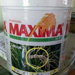 Jual insektisida racun hama padi penggerek batang(beluk) - Jakarta ...