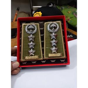 Jual Tanda Pangkat Asn/ Pns Golongan 2D (Exclusive) Lapis Acrelik Tkn ...