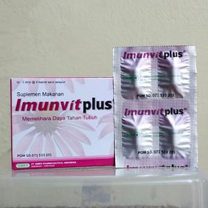 Jual Imunvit Plus Box 20 Kaplet - Multivitamin Memelihara Daya Tahan ...