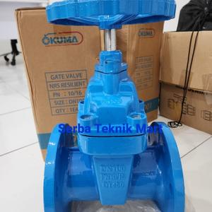 Jual Gate Valve 14" Inch DN 350 Resilient Ductile Iron Flange PN 16 ...