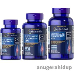 Jual Puritan Pride Triple Strength Glucosamine Chondroitin Sendi ...