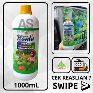 Jual Pupuk + Fungisida Hayati Hantu Bacillus sp. Trichoderma sp ...