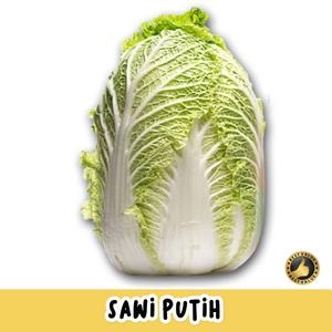 Jual KIMCHI SAWI PUTIH-1 KG-FRESH KIMCHI-JAJANAN KOREA HALAL - Jakarta ...