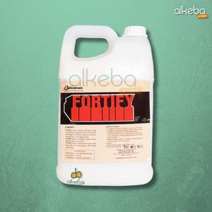 Jual Fortify Johnson Galon 4 liter Floor sealer lantai semen terasso ...