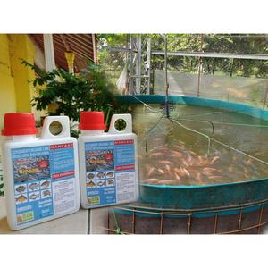 Jual PROBIOTIK BIOGAN UNTUK BUDIDAYA IKAN NILA (Kemasan 500ml) ORIGINAL ...