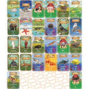 Jual Flash Card Animal Real Image / Kartu Belajar Hewan Gambar Asli ...