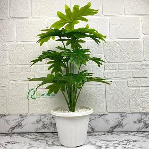 Jual [TERHYPE] Pohon Hias Daun Monstera Jari Semi Latex Artificial Pot ...