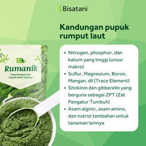 Jual #YJK - Pupuk Ekstrak Rumput Laut Seaweed 500 gram RUMANIK/ Obat ...