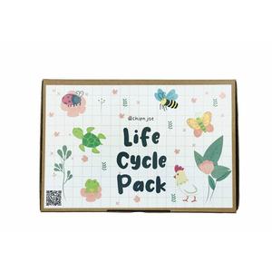 Jual Ready Stok Belajar Daur Hidup Life Cycle Pack Hewan Katak Ayam ...