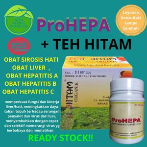 Jual Obat Sirosis Hati Liver Hepatitis A Hepatitis B Hepatitis C Sakit ...
