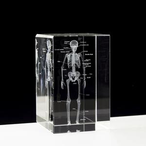 Jual Crystal 3D Laser Engraved Human Anatomical Skeleton Cube Model ...
