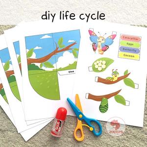 Jual Zoetoys DIY Life Cycle | Belajar Siklus Hidup Hewan | Art and ...