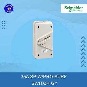 Promo Schneider Isolator Switch 35A - WHS35_GY - Jakarta Pusat ...