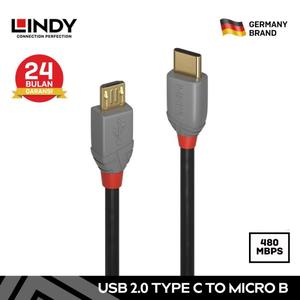 Jual Kabel Data USB 2.0 Type C to Micro B LINDY USB DAC Cable - Jakarta ...